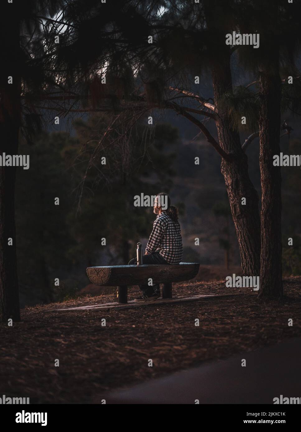 A vertical shot of an old man sitting on a bench on a hill behind ...