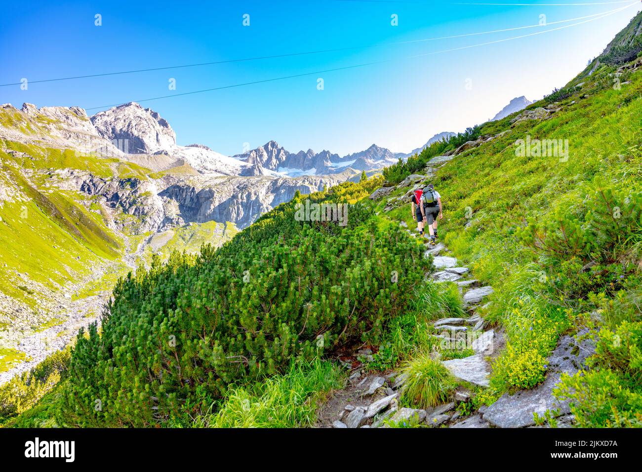 Green high mountains path hi-res stock photography and images - Alamy