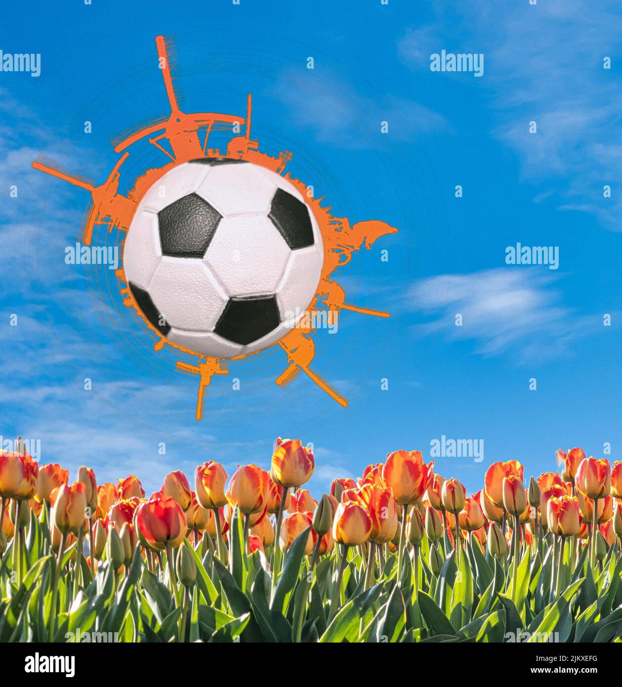 Soccer dutch national team hi-res stock photography and images - Alamy