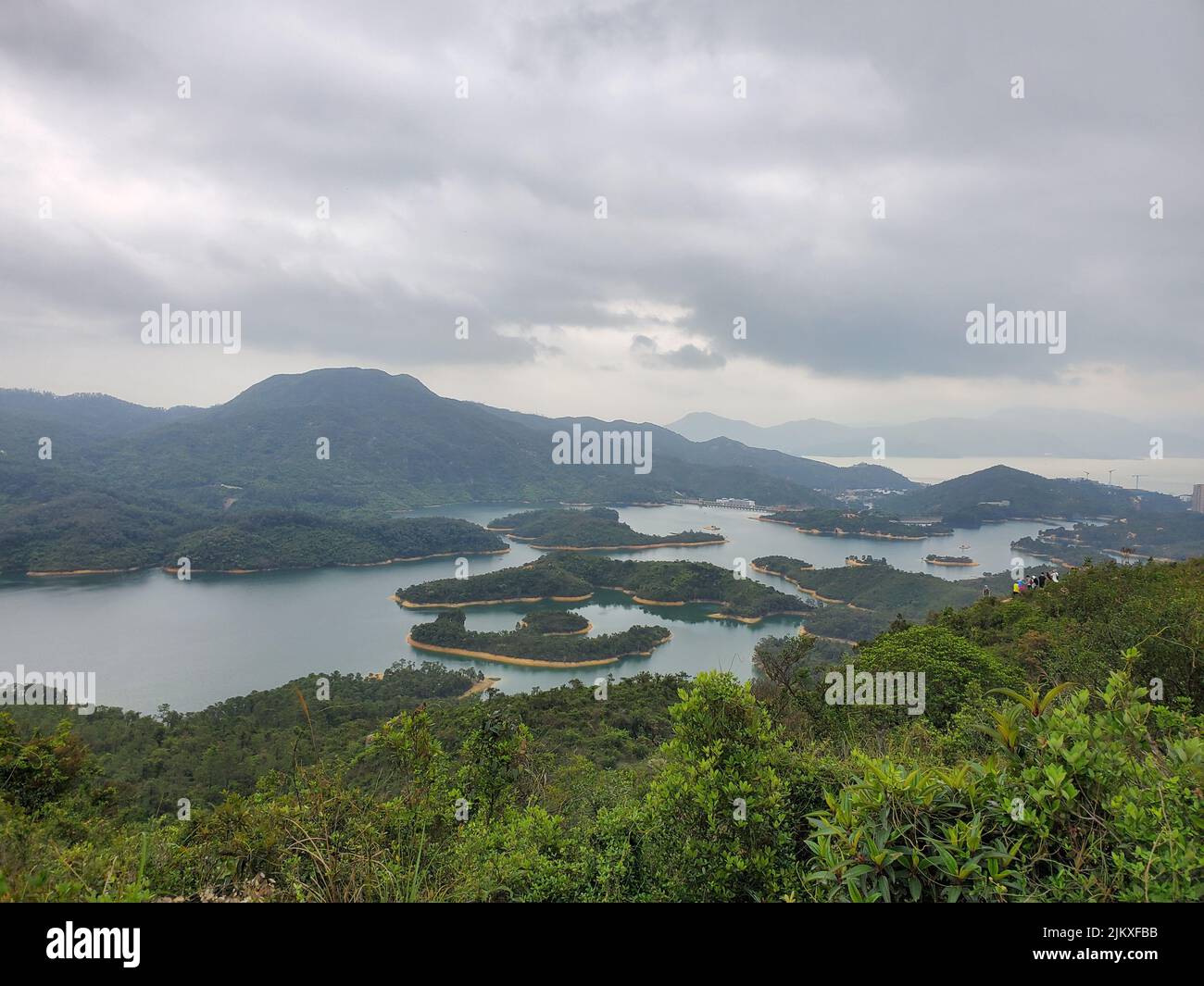 An aerial shot of Reservoir Island Viewpoint surrounded by dense forest ...