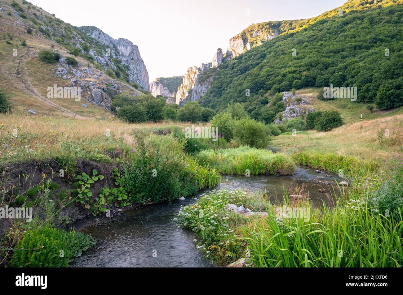Scenic view of a creek near the northern entrance of the Turda gorge in ...