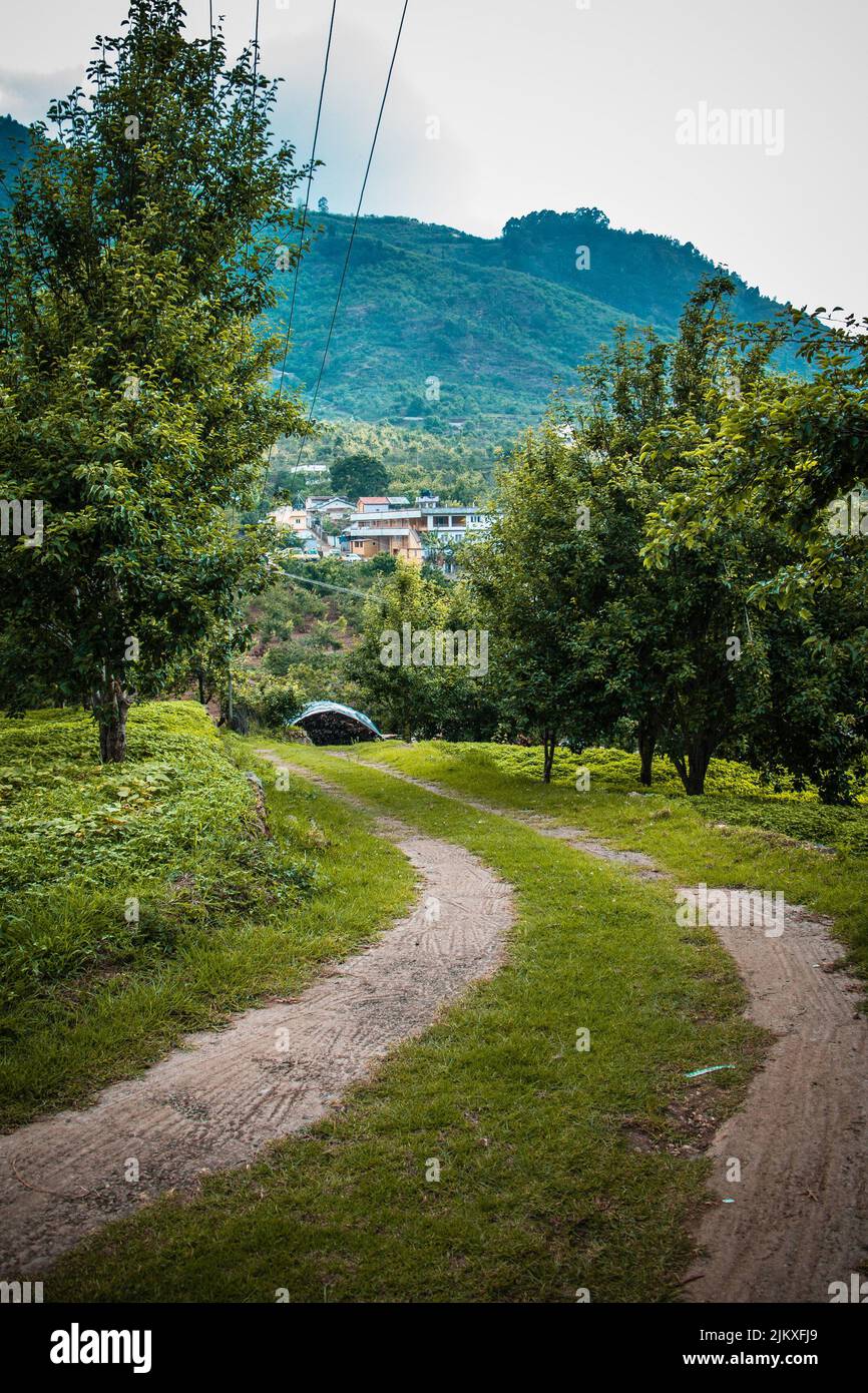 Green pathway hi-res stock photography and images - Alamy