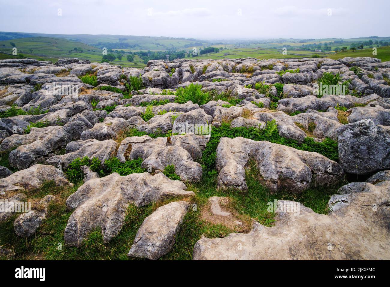 A view of Malham Cove limestone formation in background of greenery fields in Yorkshire Dales ...