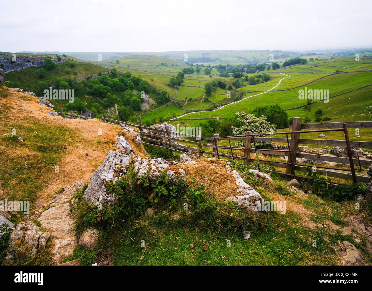 A view of Malham Cove limestone formation in background of greenery ...