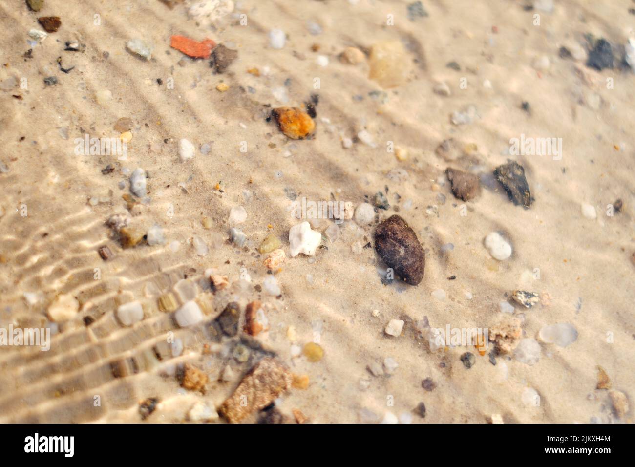 Maritime beach background with shells and sand in the water, view from ...