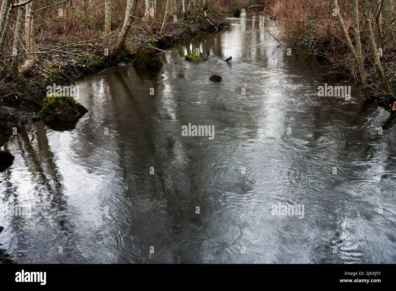 Rain and reflections on a small steel grey river as it makes its way ...