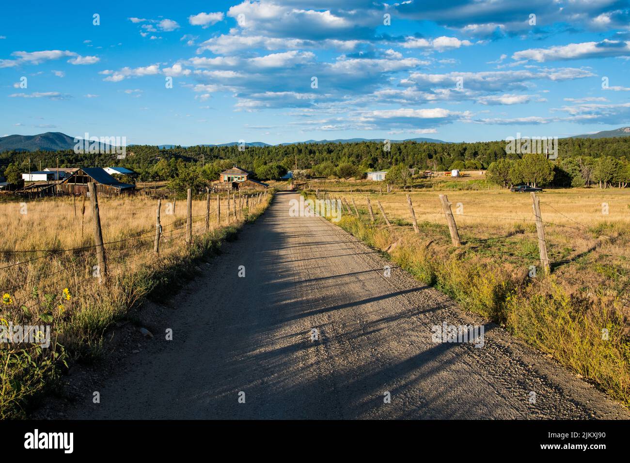 Road with tree and fences hi-res stock photography and images - Alamy
