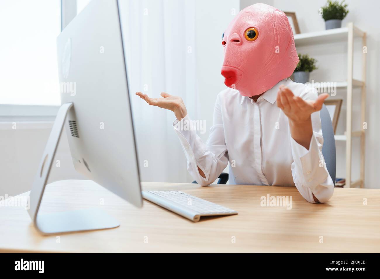 Data analyst funny hi-res stock photography and images - Alamy