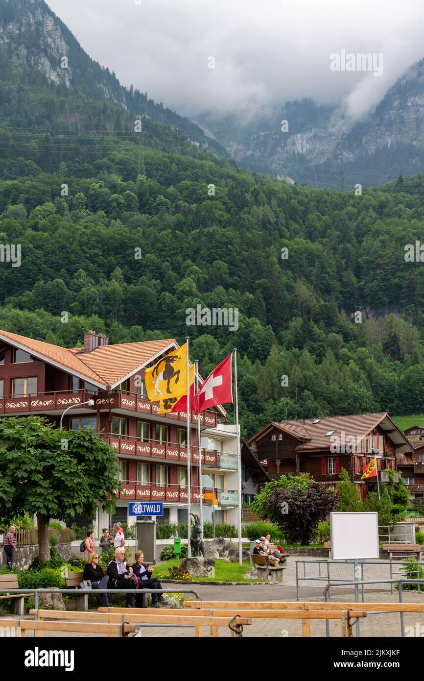 A vertical shot of buildings and flags at the Alps mountains in ...