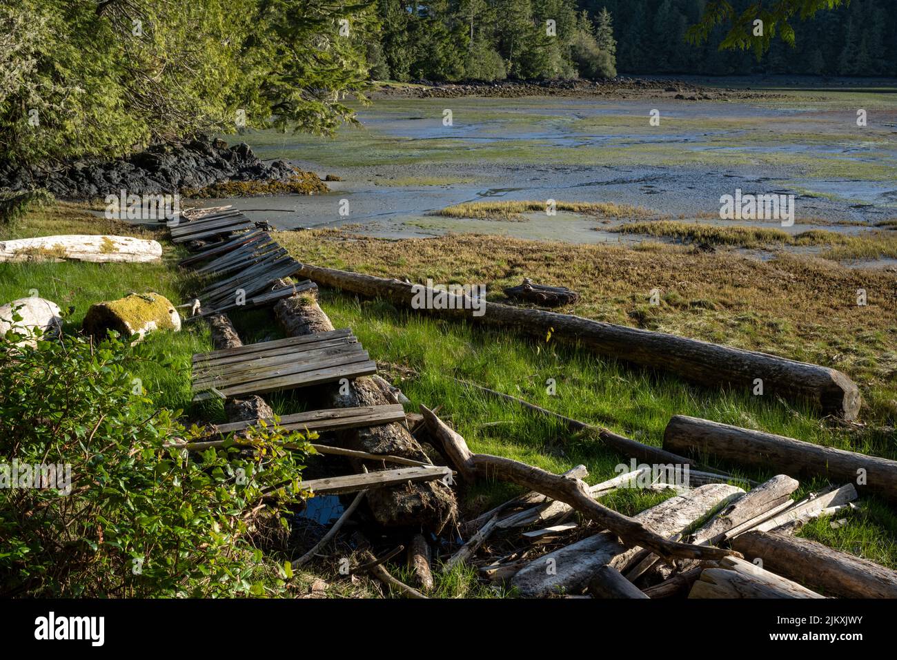 Spring Cove Interprative trail, Ucluelet, BC, Canada Stock Photo - Alamy