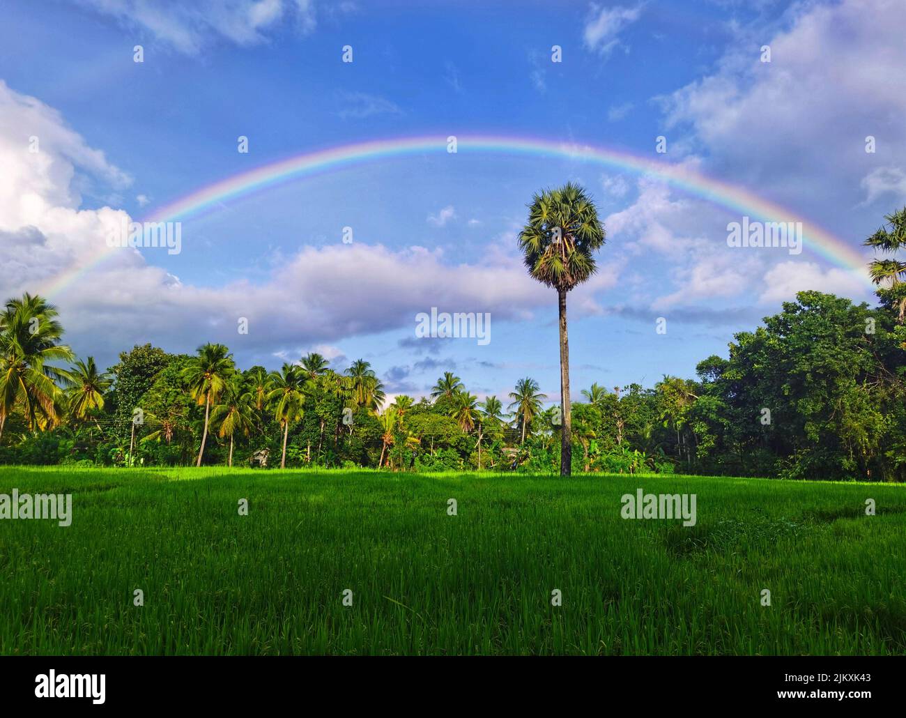 A double rainbow arched across the sky Stock Photo - Alamy