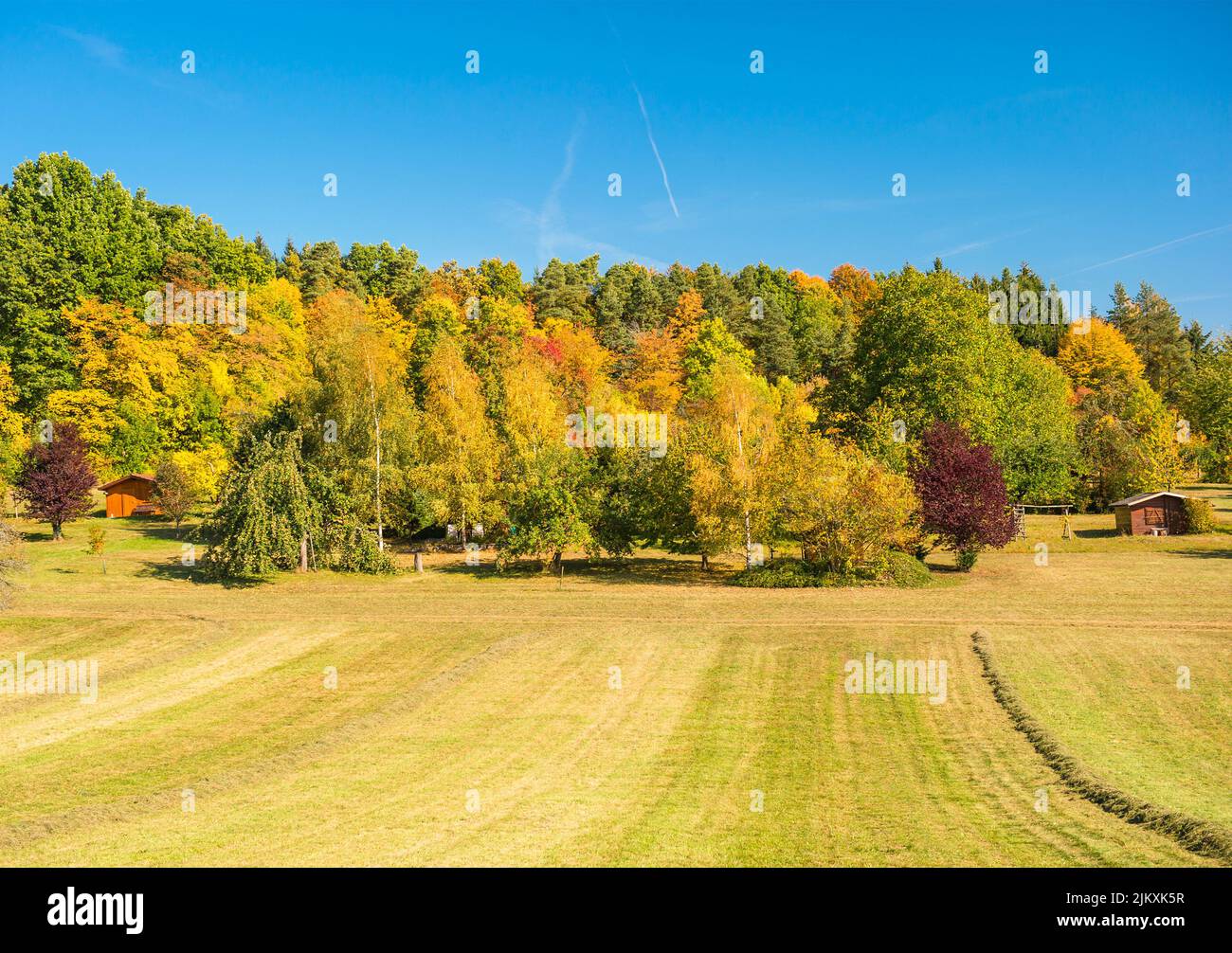 Autumn landscape with yellow and red trees and blue sky. Countryside ...