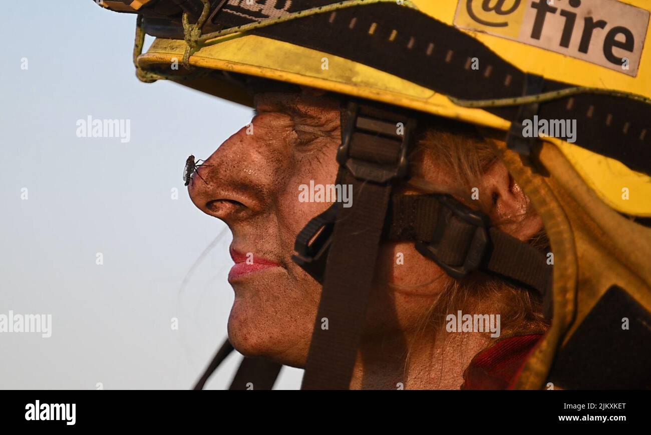 Saxon nose hi-res stock photography and images - Alamy