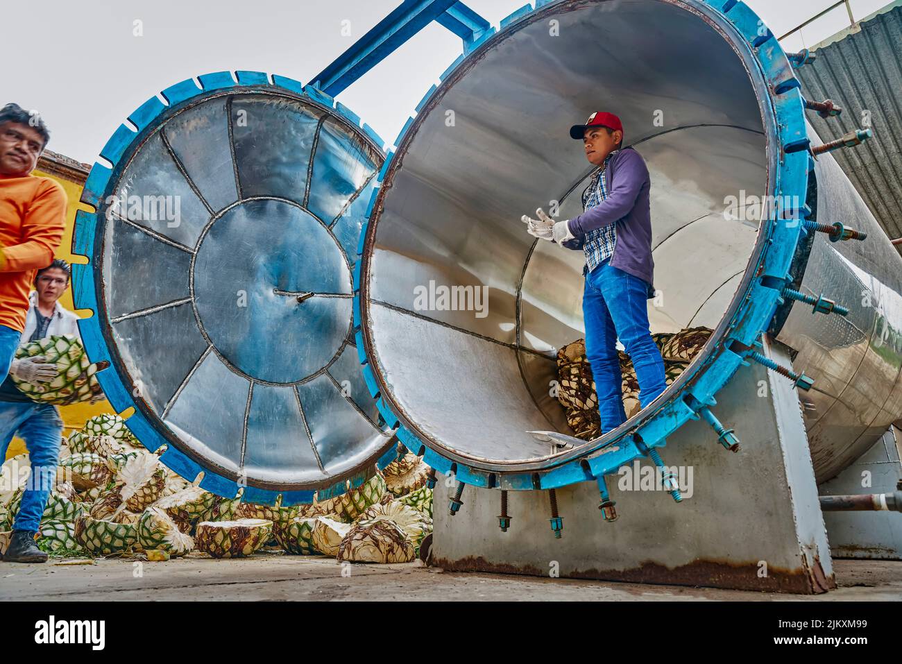 Man piling agave in oven ready to steam it Stock Photo - Alamy