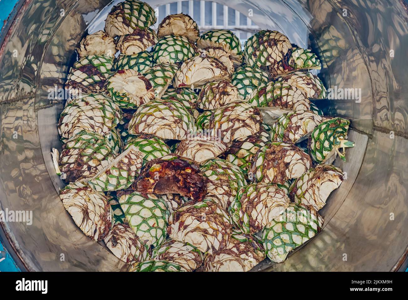 Oven full of agave ready to start steaming it Stock Photo - Alamy