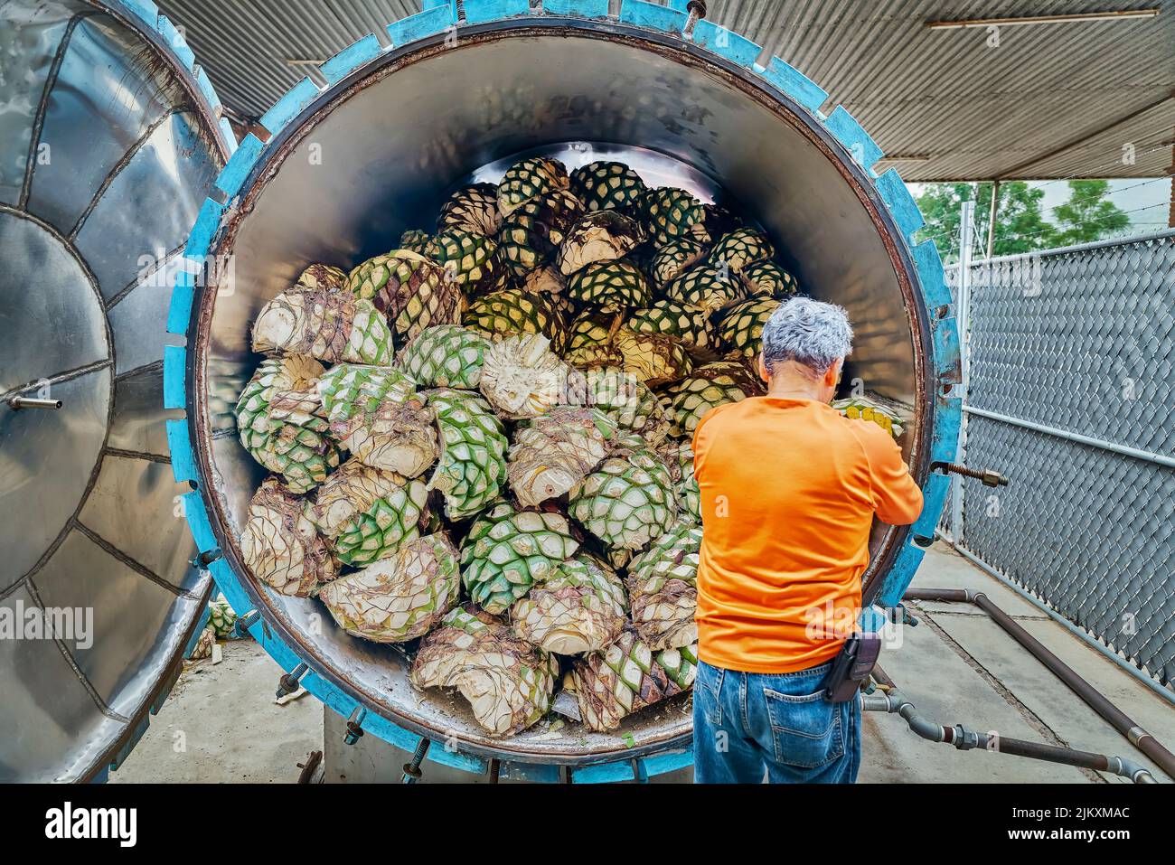 Man piling agave in oven ready to steam it Stock Photo - Alamy
