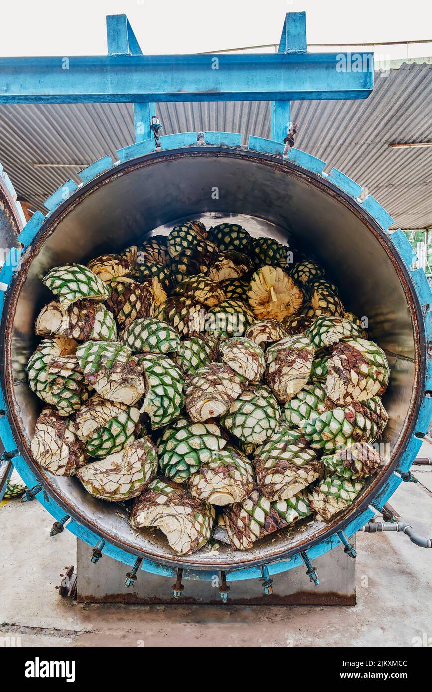 Oven full of agave ready to start steaming it Stock Photo - Alamy