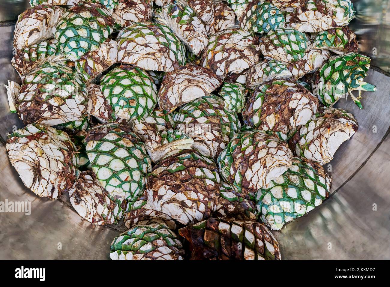 Oven full of agave ready to start steaming it Stock Photo - Alamy