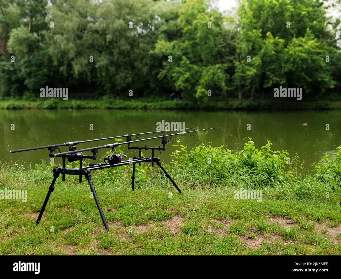 Grass rods hi-res stock photography and images - Alamy