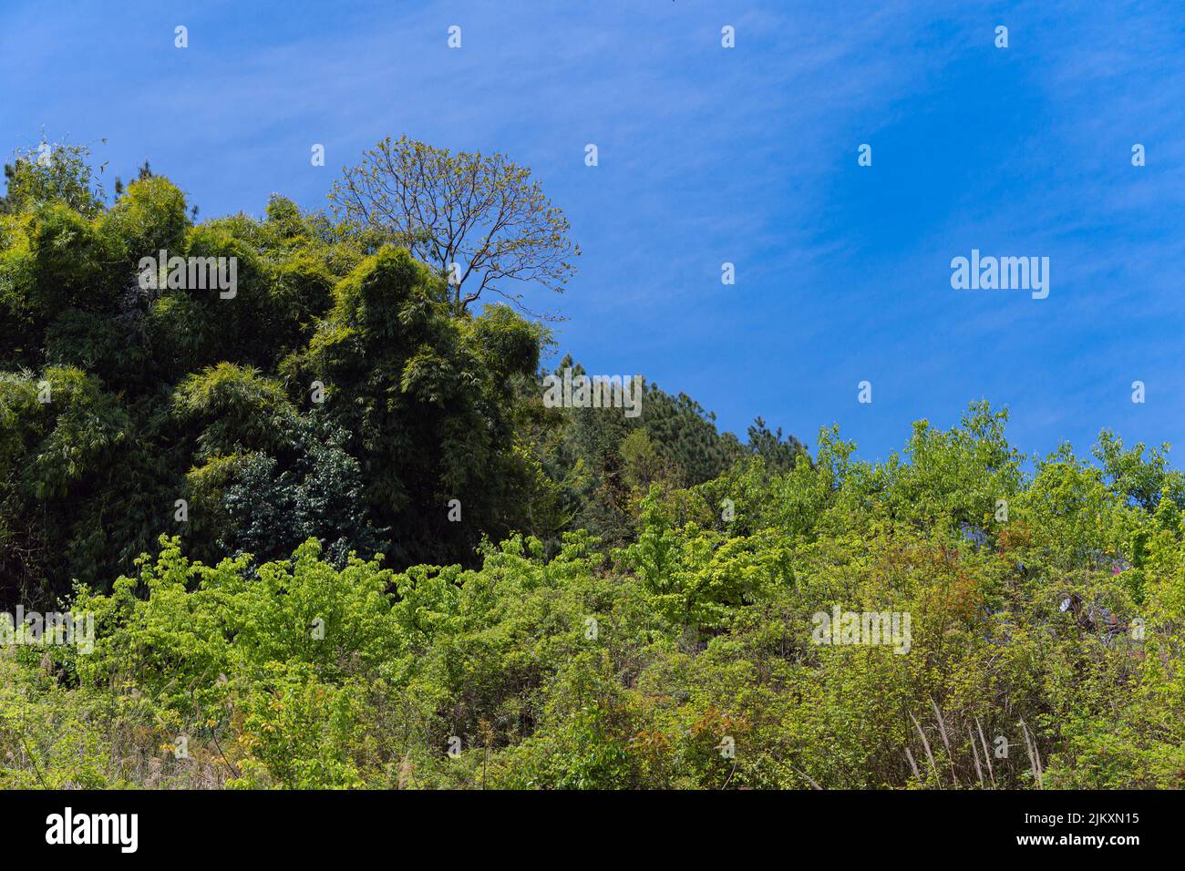 Countryside in the forests of Southwest China Stock Photo - Alamy