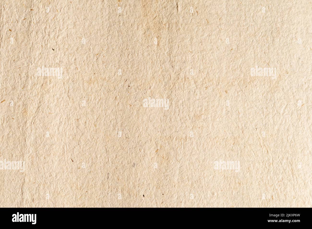 A macro focus shot of an old handmade paper texture in bright light ...