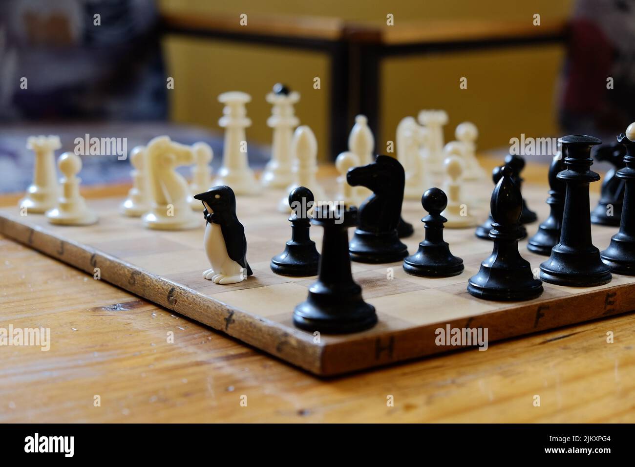 A closeup of a chess board with organized black and white figures Stock ...