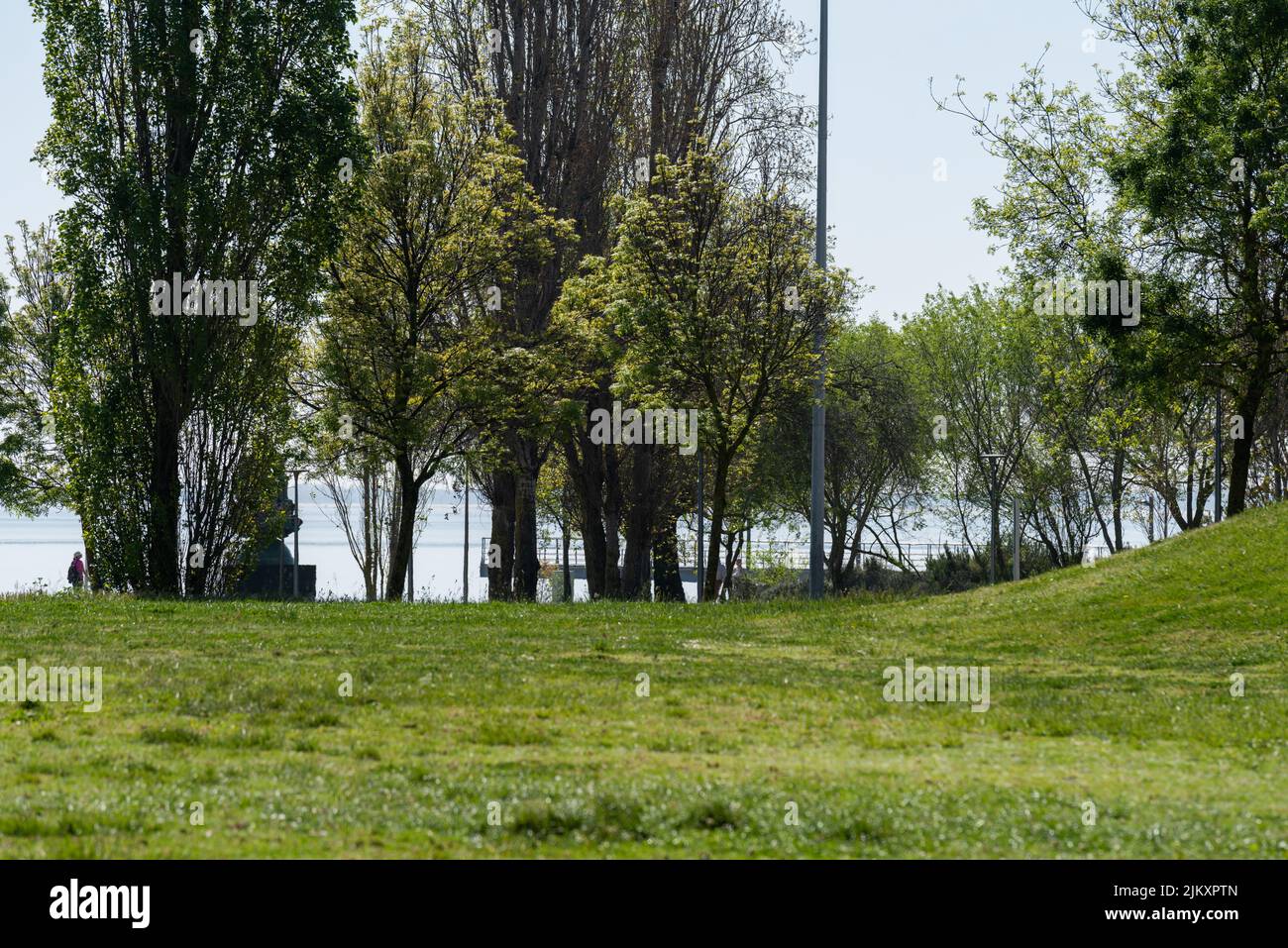 A natural landscape view of gardens with beautiful lawn in Parque das ...
