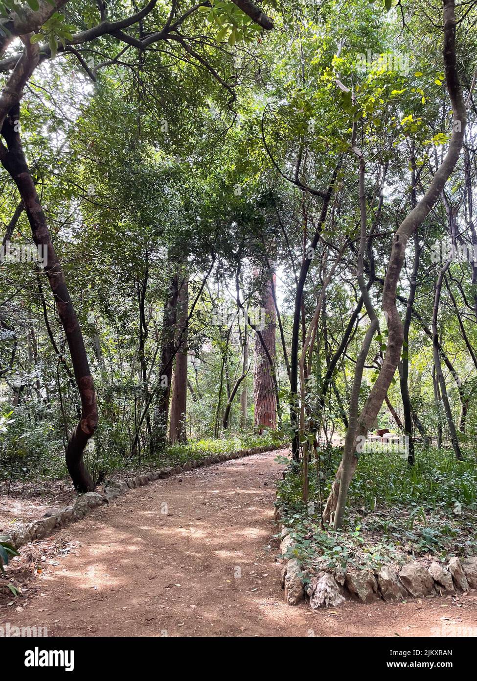 Garden path under trees hi-res stock photography and images - Alamy