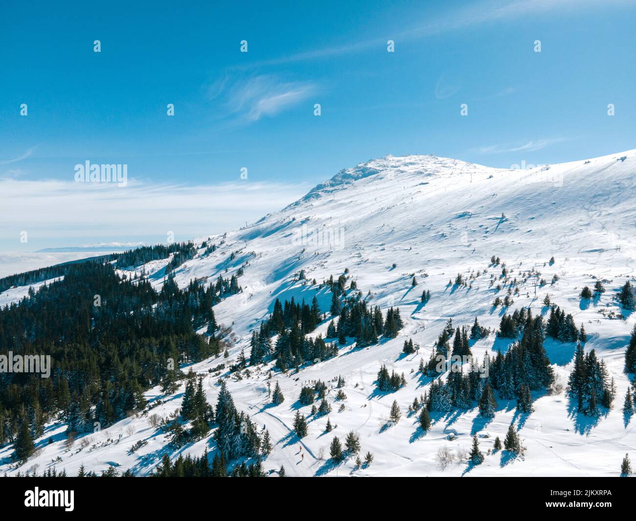 Forested mountain background hi-res stock photography and images - Alamy