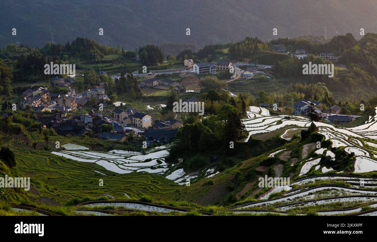A beautiful high angle view of the Rice terraces in the Philippine ...