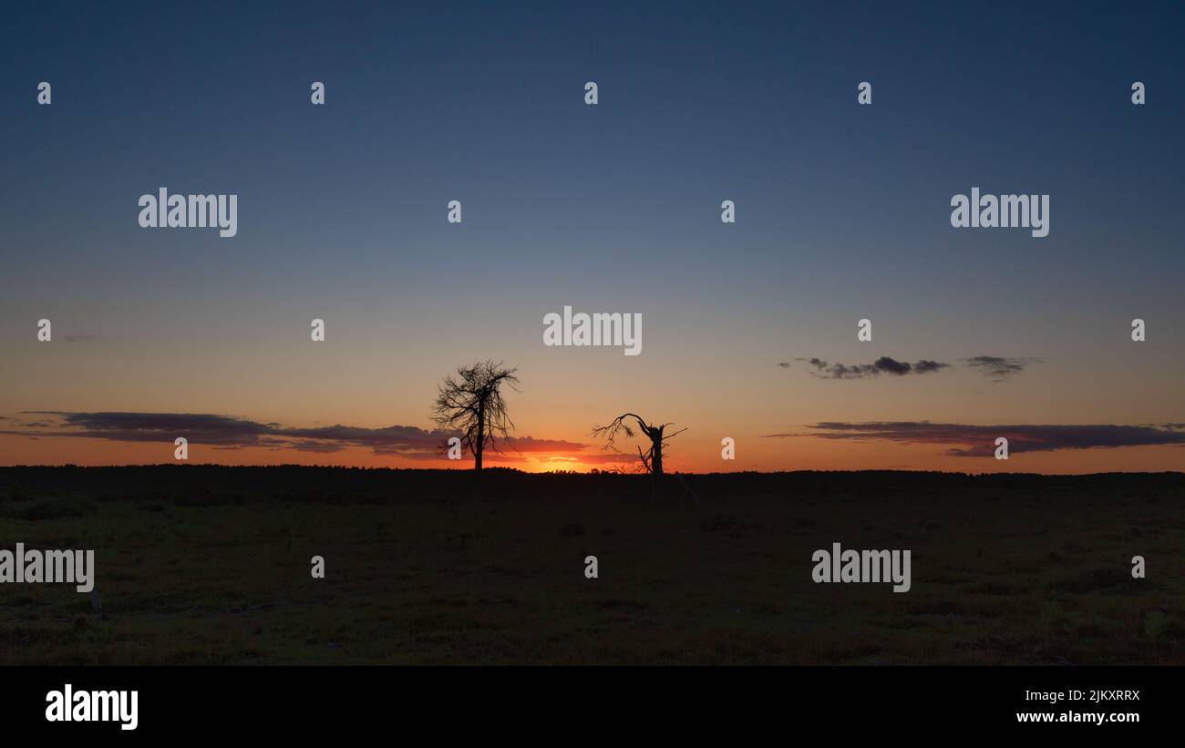 A breathtaking view of trees in a field in sunset under a colorful sky ...