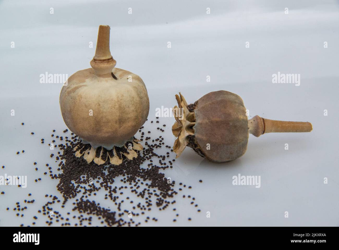 Maw seeds hi-res stock photography and images - Alamy