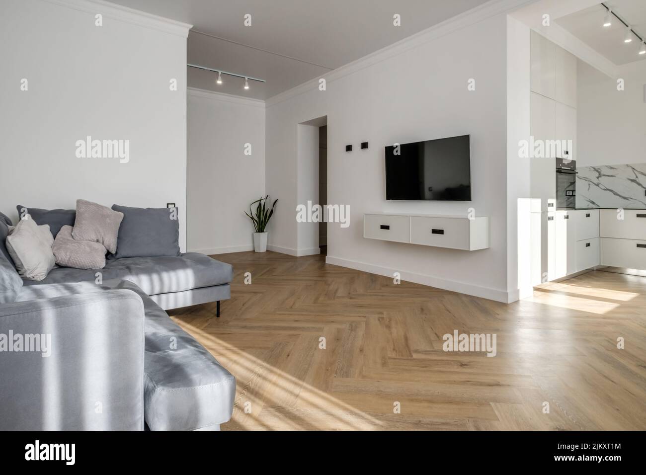 furniture in interior of expensive living room in studio apartments or ...
