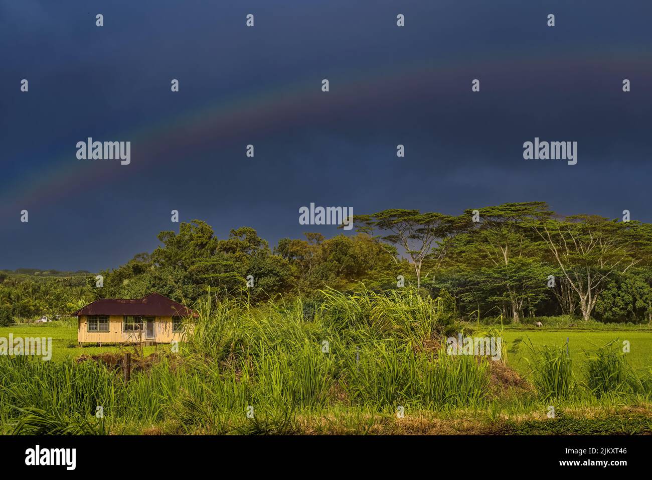 A RAINBOW BREAKING THROUGH DARK CLOUDS OVER A LUSH FIELD WITH A SMALL ...