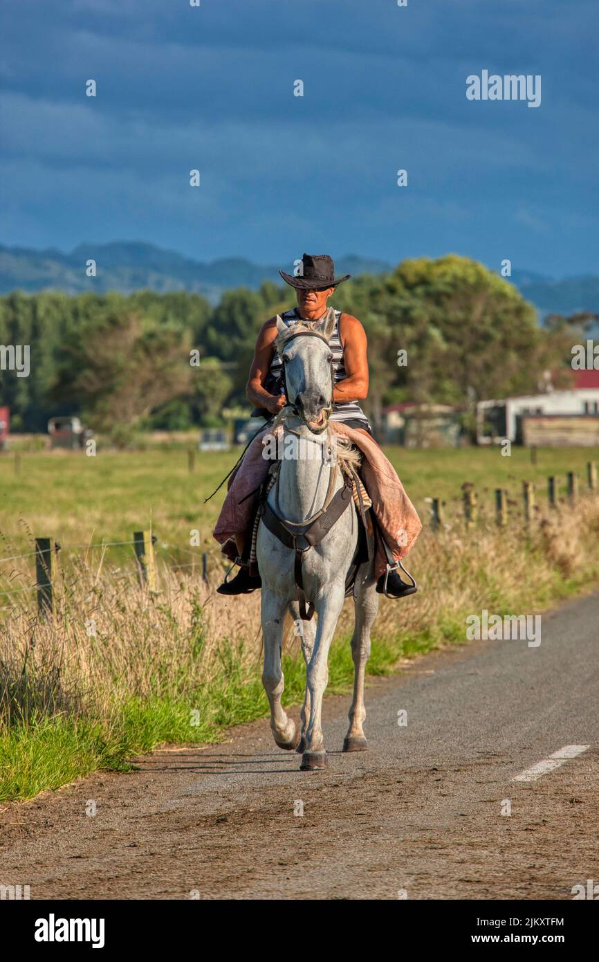 Man riding white horse hi-res stock photography and images - Alamy