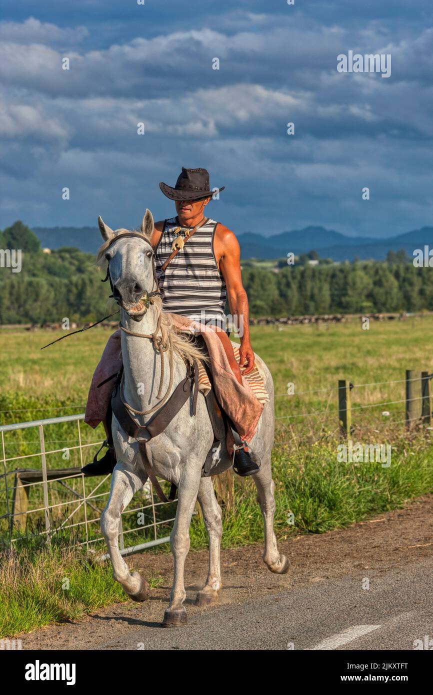 Man riding white horse hi-res stock photography and images - Alamy