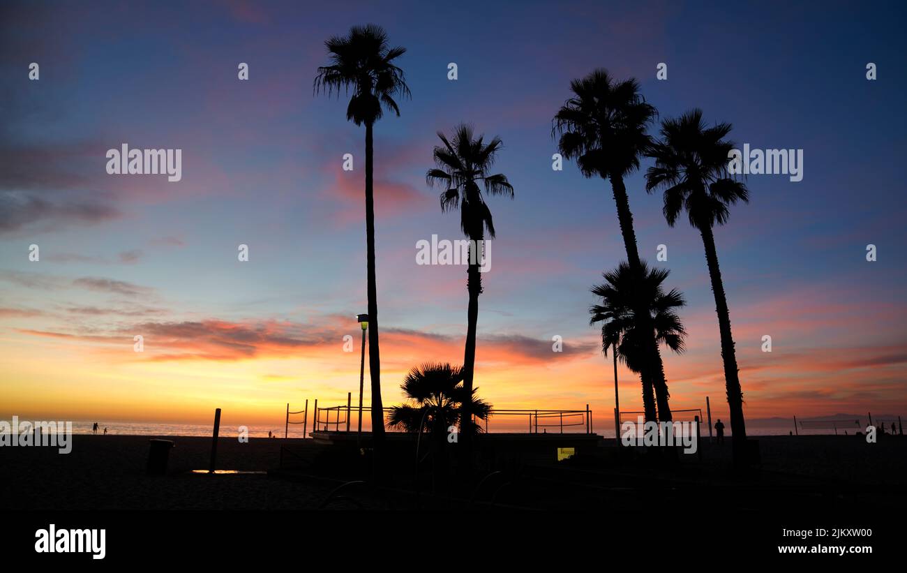 A mesmerizing scene of silhouetted Sunset over palm trees in Hermosa ...