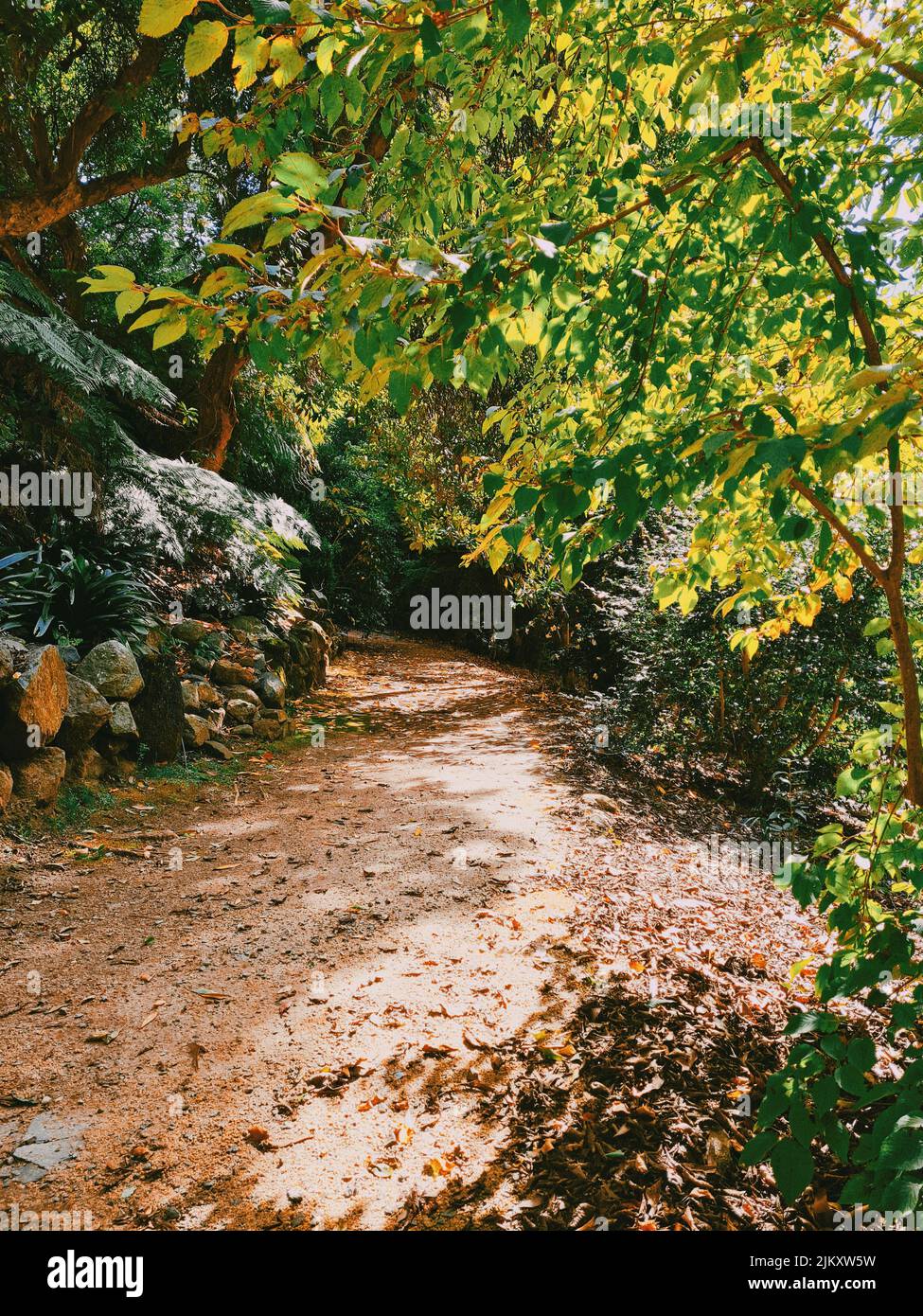 A beautiful scene with a path in the picturesque park Stock Photo - Alamy