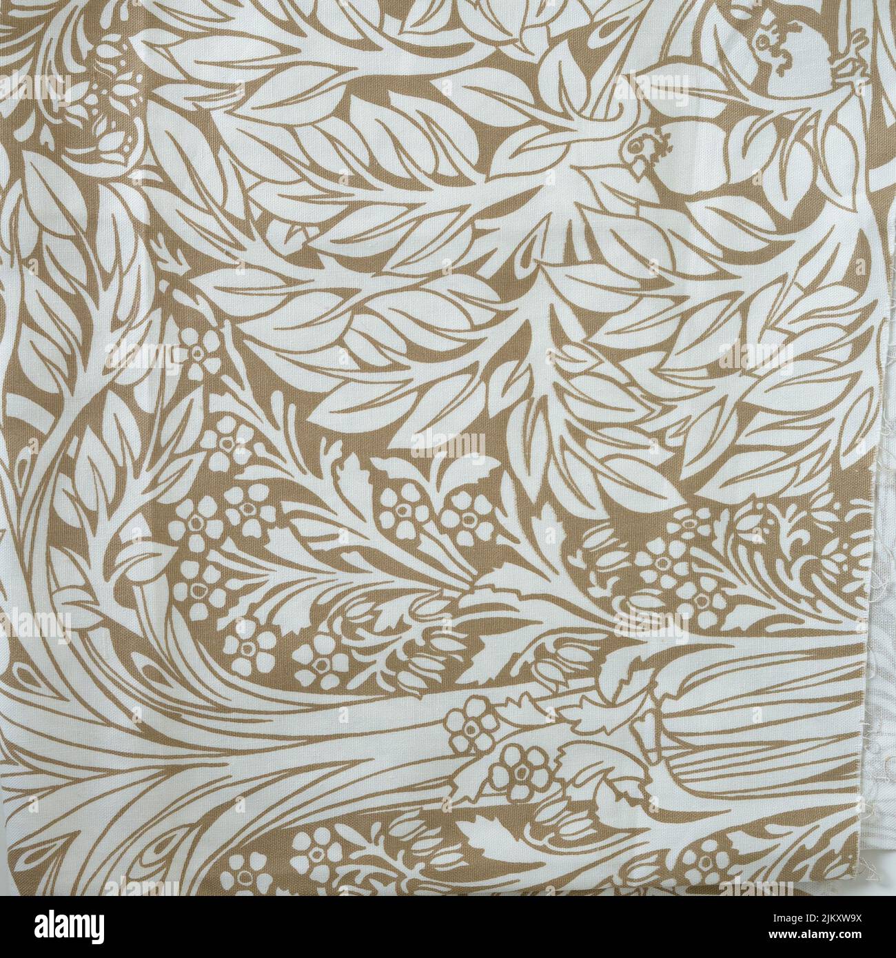 A light fabric texture in floral theme Stock Photo - Alamy