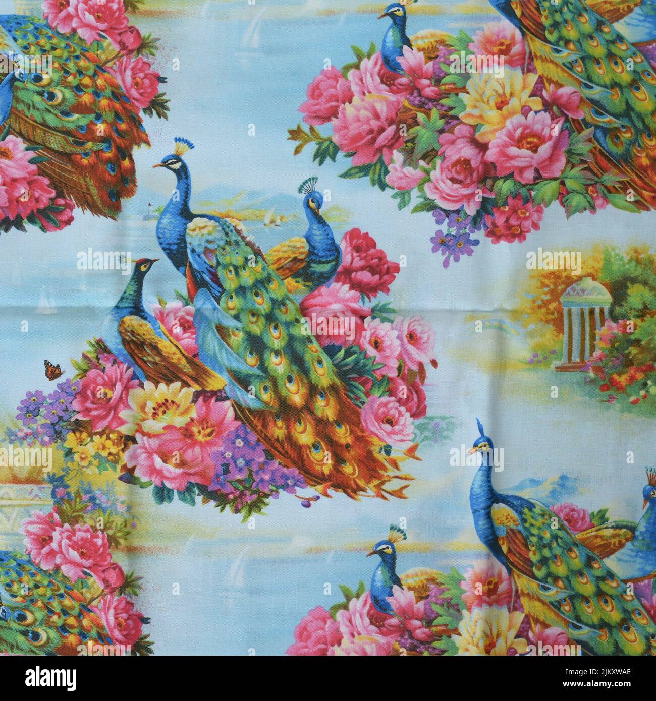 Peacock texture hi-res stock photography and images - Alamy