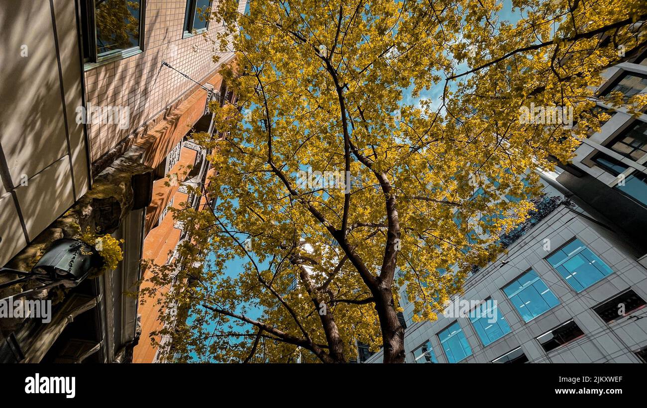 Green building united states hi-res stock photography and images - Alamy