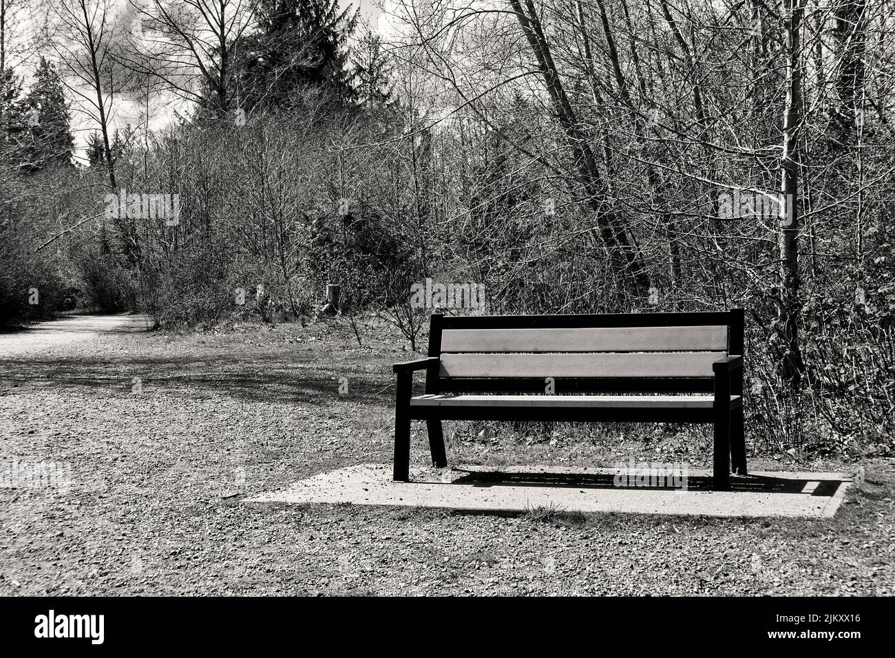 Black and white, an empty park bench on a path with barren trees behind ...