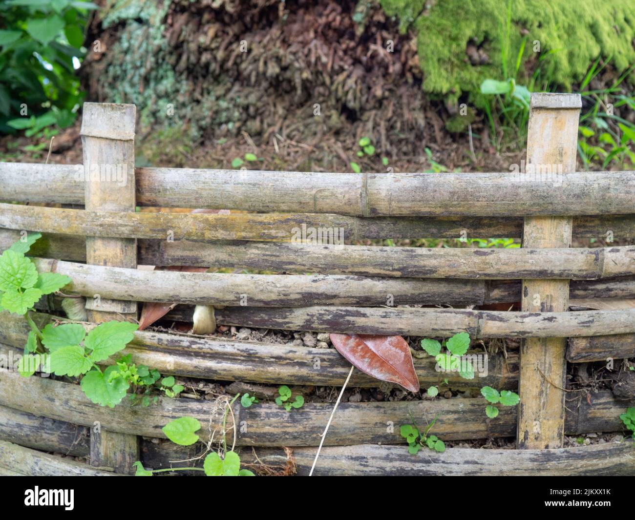Unusual garden fence hi-res stock photography and images - Alamy