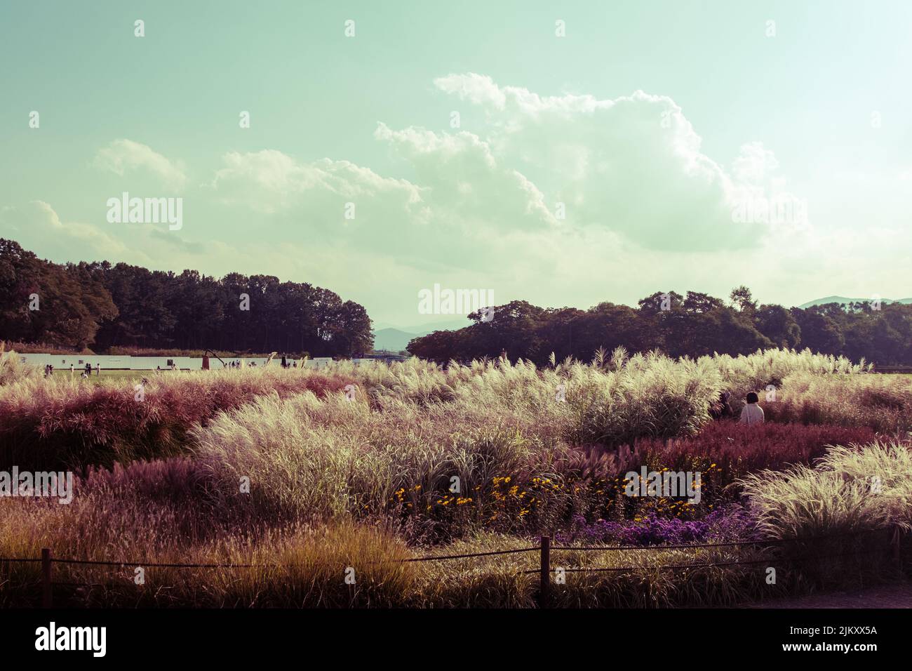 Colorful summer landscape beautiful hi-res stock photography and images ...