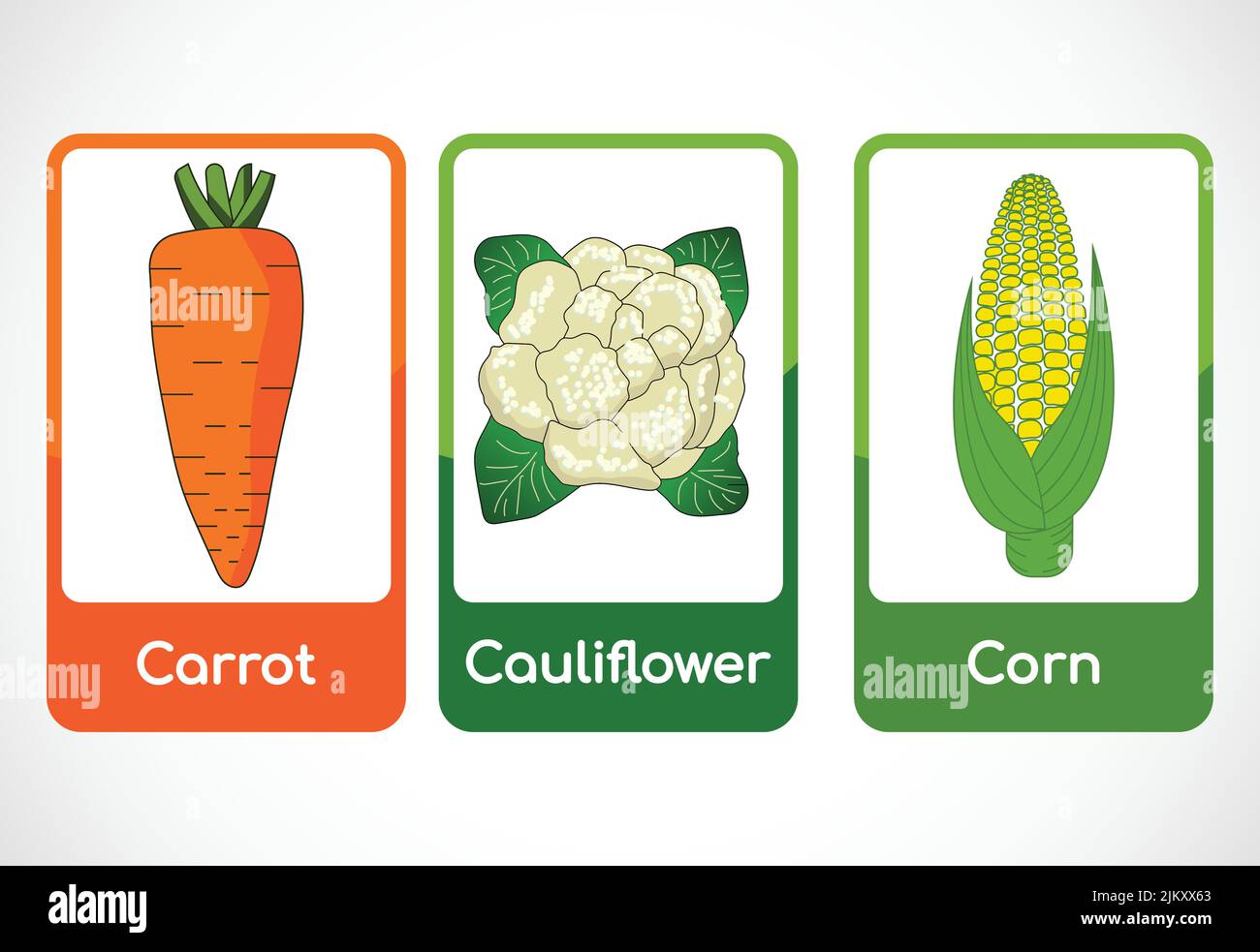 Printable Vegetable Flash Cards