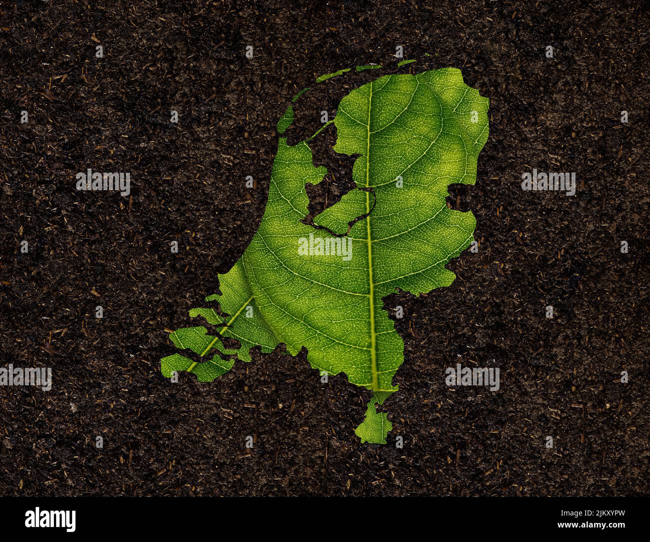 Netherlands map made of green leaves on soil background ecology concept ...