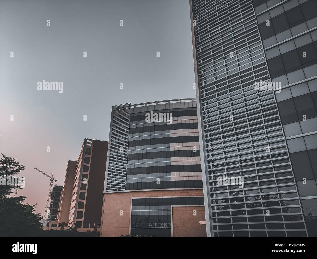 Concrete trees made by men Stock Photo - Alamy