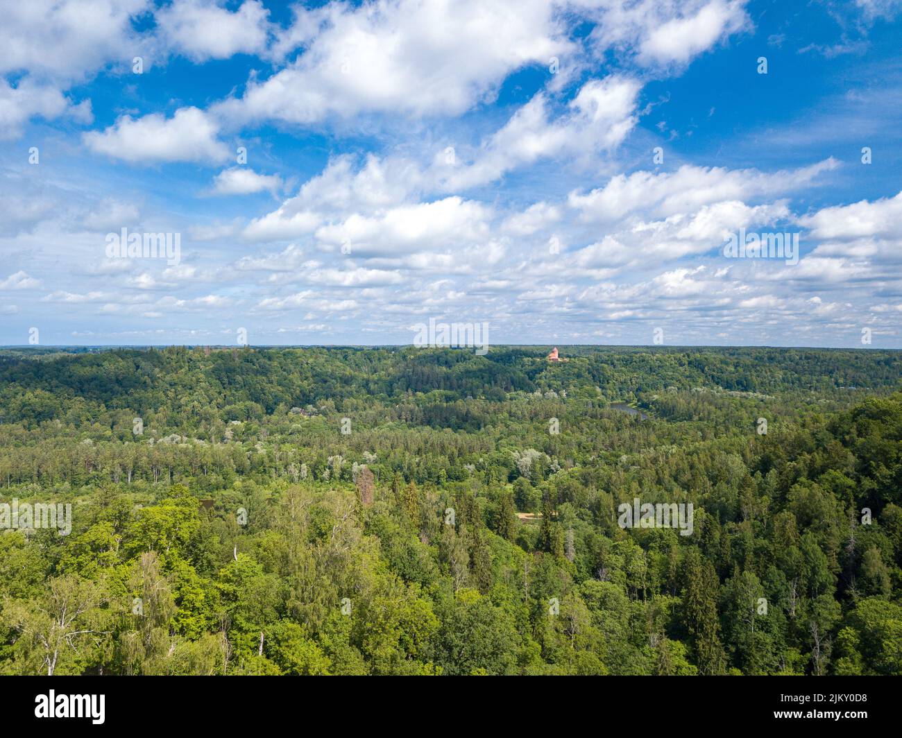 Turaida castle in between the forest. Aerial photo Stock Photo - Alamy