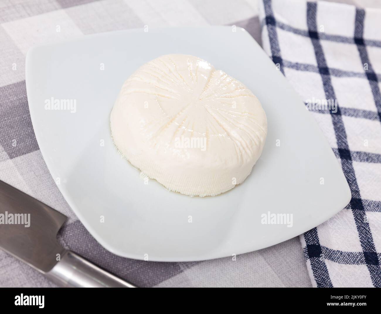 Delicious young cheese Stock Photo - Alamy