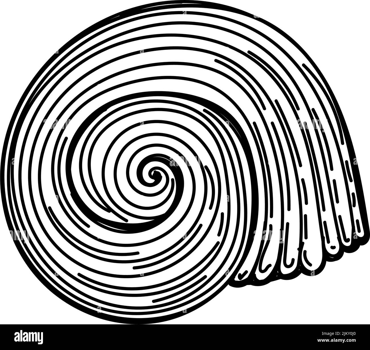 Seashell, clam, hand-drawn in sketch style. Decor element. White ...